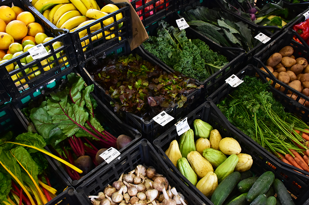 Feira de produtos biológicos | Ambiente